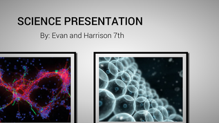 science presentation at emaze Presentation