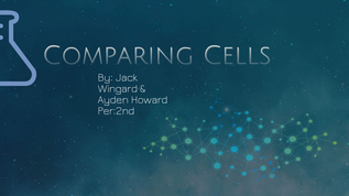 Comparing Cells at emaze Presentation