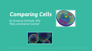 Cells at emaze Presentation