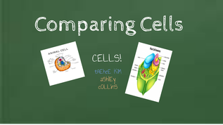 comparing cells at emaze Presentation