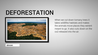 Environmental destruction by humans at emaze Presentation