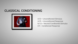 Examples of Classical Conditioning at emaze Presentation