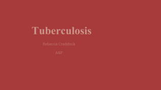 Tuberculosis at emaze Presentation
