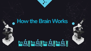 Human Behavior at emaze Presentation