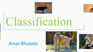 Classification at emaze Presentation