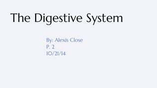 Digestive System at emaze Presentation
