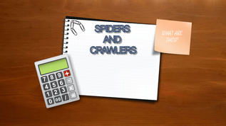 spiders and crawlers at emaze Presentation