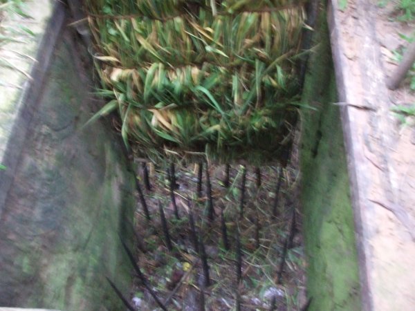 The Most Dangerous Game on emaze