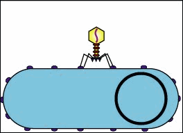 dependencia copy2 on emaze