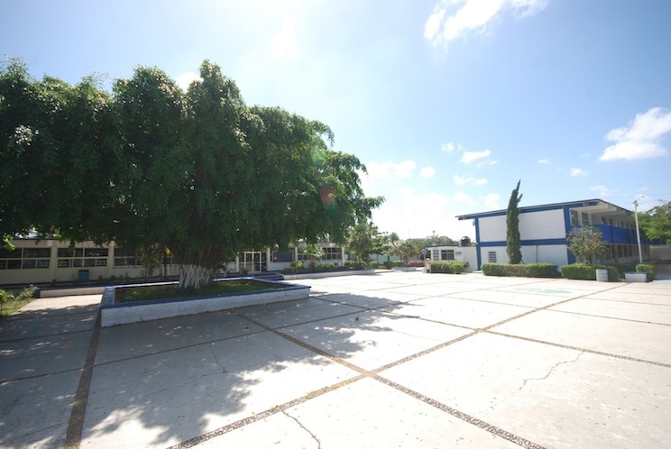 cbtis 111 at emaze Presentation