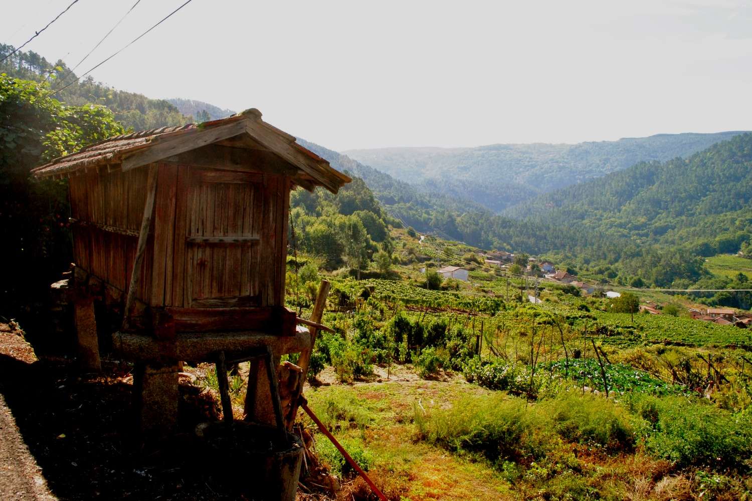 Dialectoloxía do galego on emaze