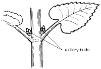 unit 15 terms to know on emaze