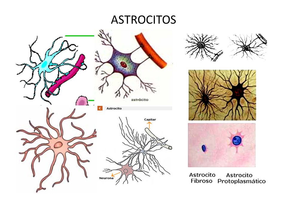 THE BEST at emaze Presentation