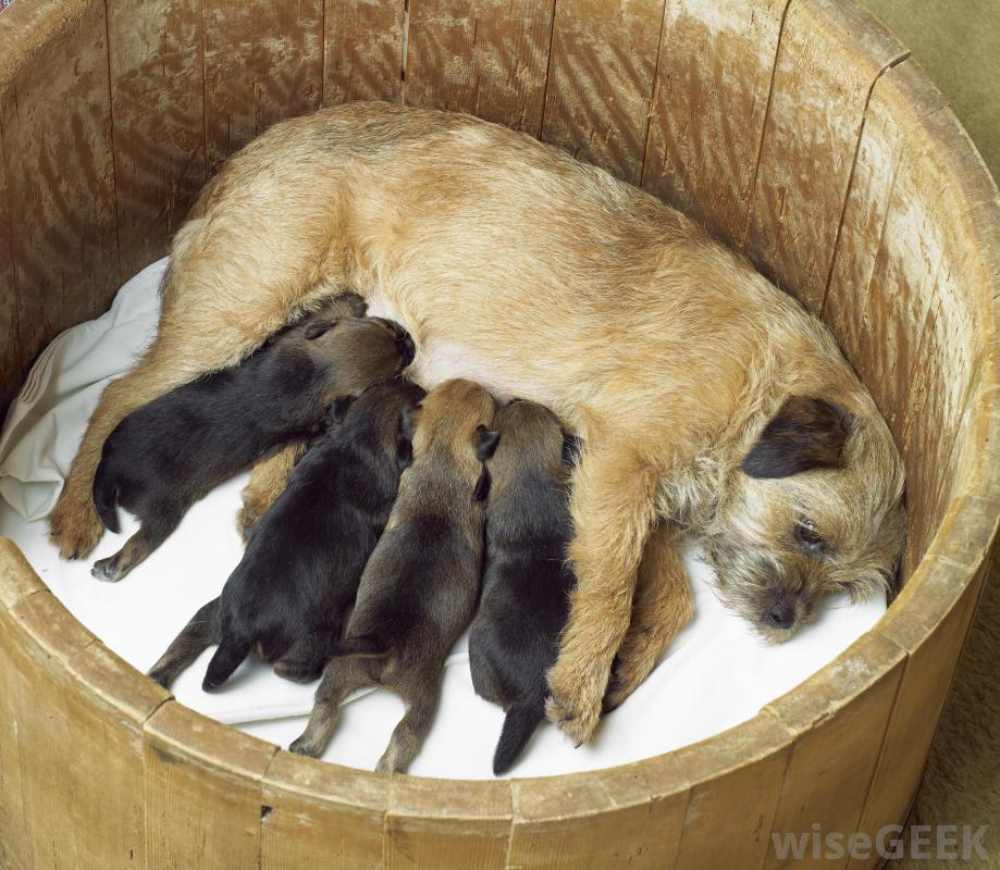 Presentation Name on emaze