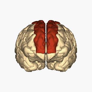 Presentation Name at emaze Presentation