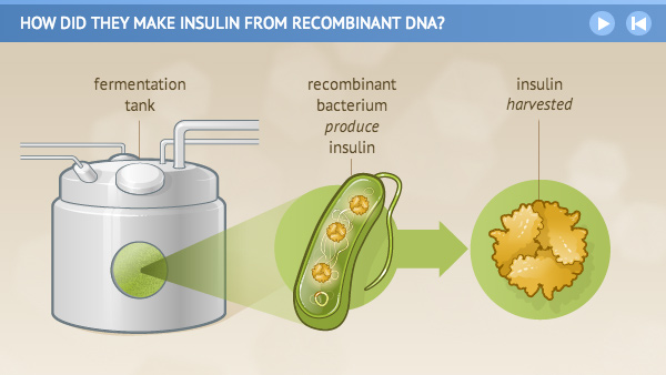 Genetic Engineering on emaze