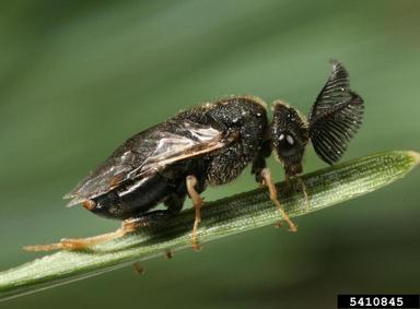 LA TAIGA at emaze Presentation