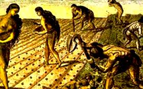 LOS PUEBLOS INDIGENAS Y LA COLONIA.pptx on emaze