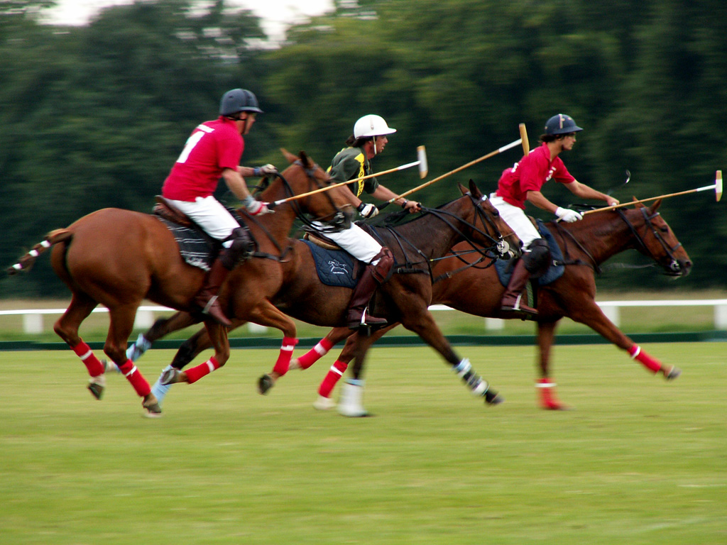 Polo in Ancient India at emaze Presentation