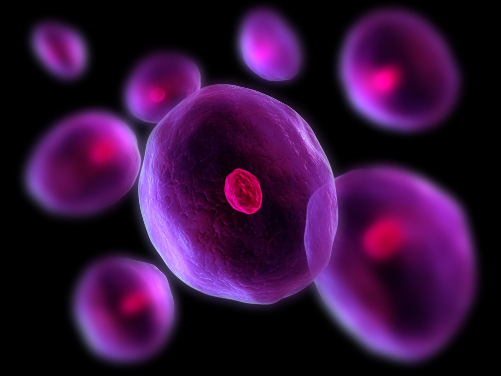 Cell theory at emaze Presentation
