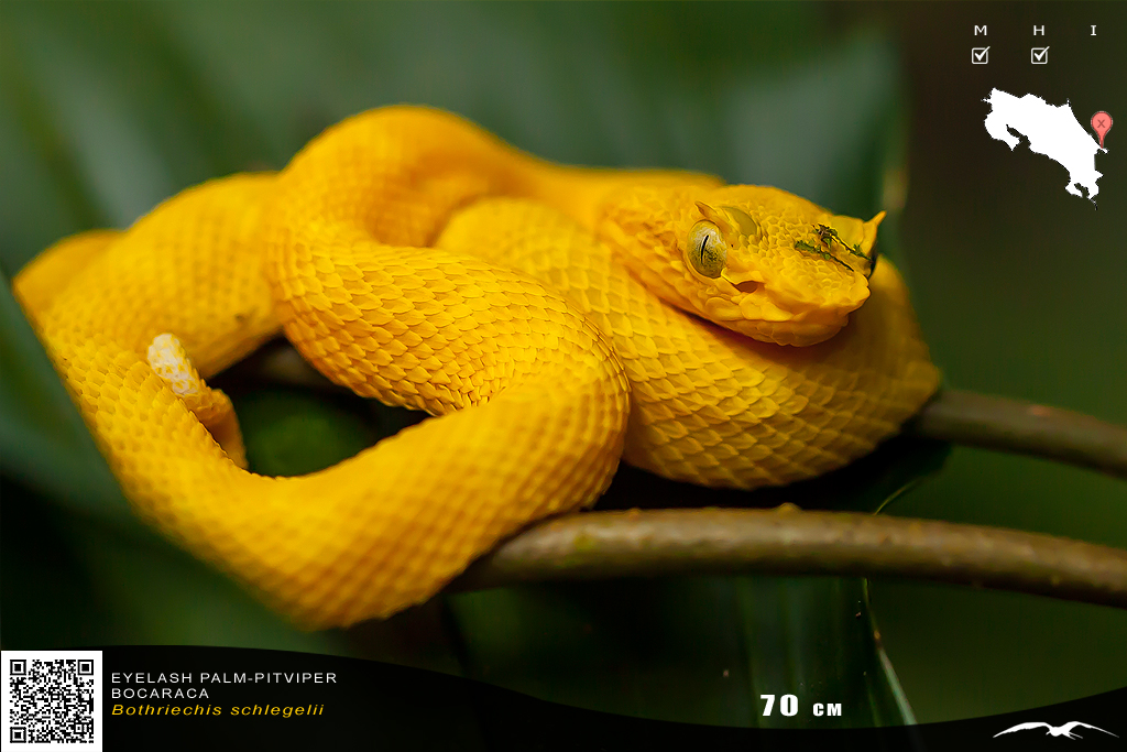 creencias populares on emaze