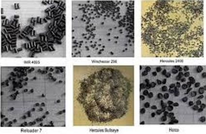 Balística forense on emaze