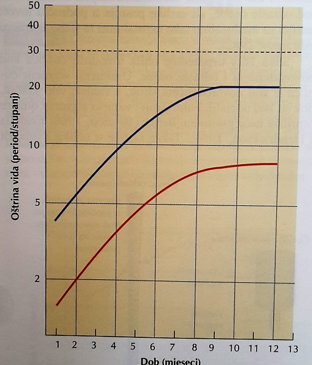 PERCEPCIJA at emaze Presentation