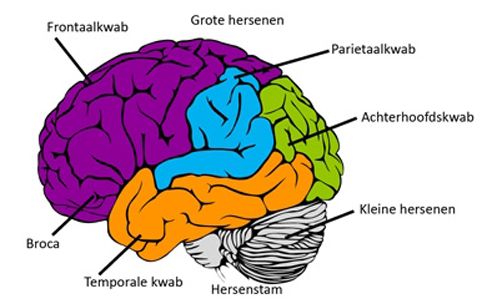 Presentation Name on emaze
