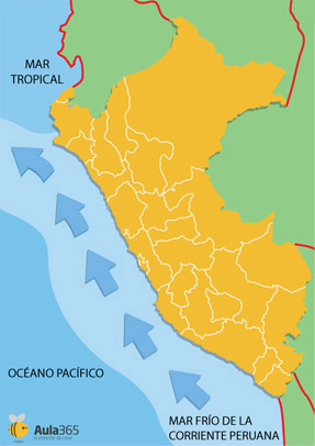 el mar frio on emaze