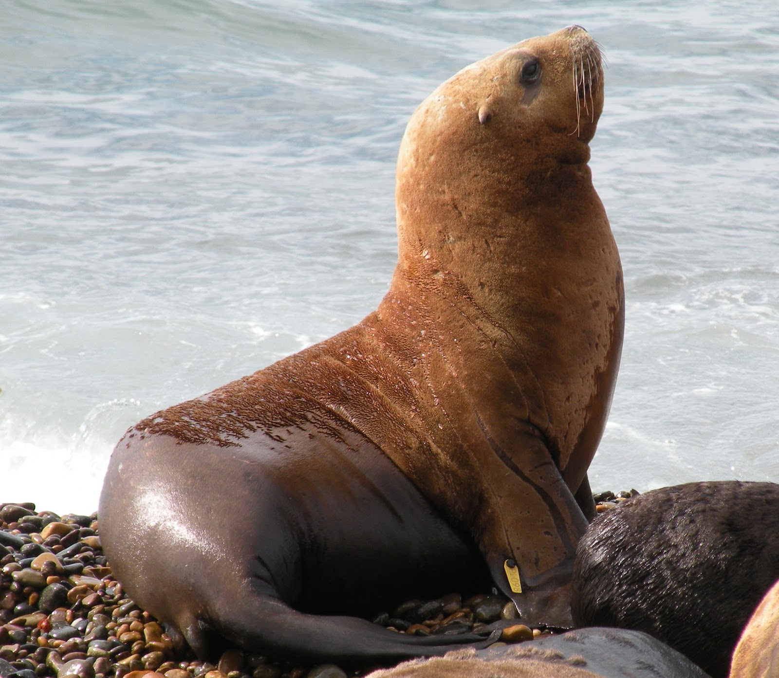 el mar frio on emaze