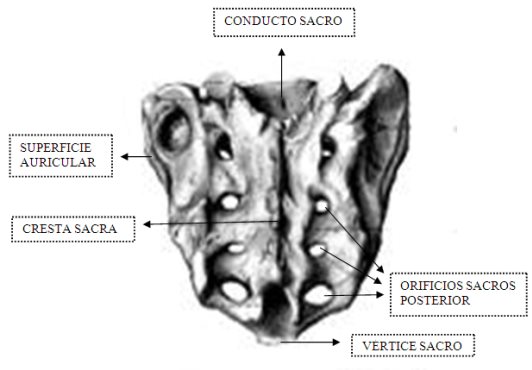 Vertebras Sacras on emaze