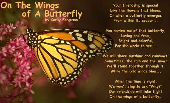 BUTTERFIES20th at emaze Presentation