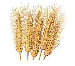 Presentation Name on emaze