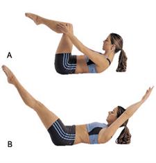 The Core Muscles on emaze