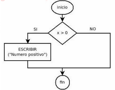 ESTRUCTURAS SELECTIVAS at emaze Presentation