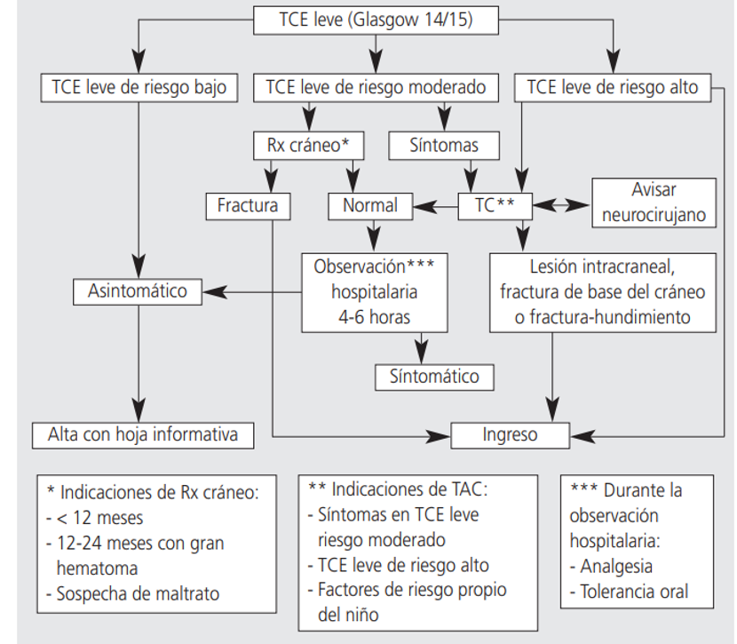 TRAUMATISMO CRANEONCEFALICO on emaze