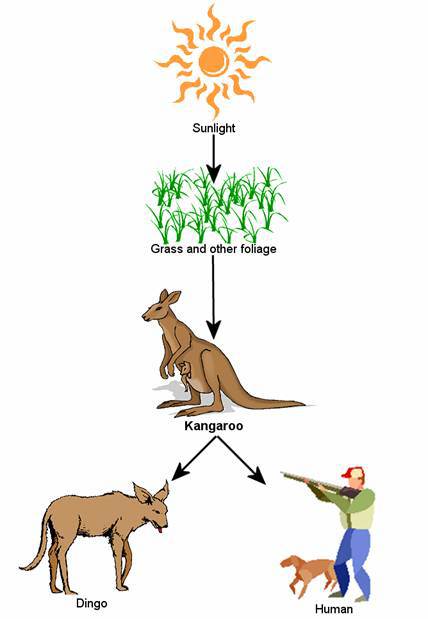 Simpson Desert on emaze