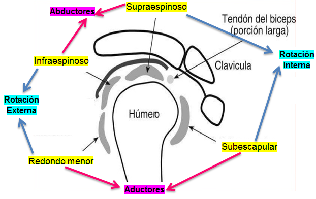 Redondo menor at emaze Presentation