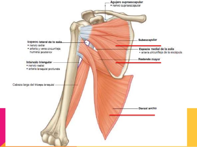 Redondo menor at emaze Presentation
