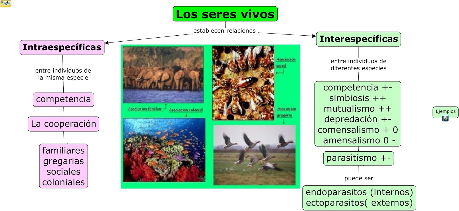 RELACIONES ECOLOGICAS at emaze Presentation