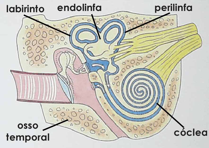 Caso clinico 3 Itzel.pptx on emaze