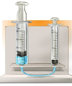 Prensa Hidráulica con jeringas on emaze