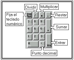 Partes del teclado on emaze