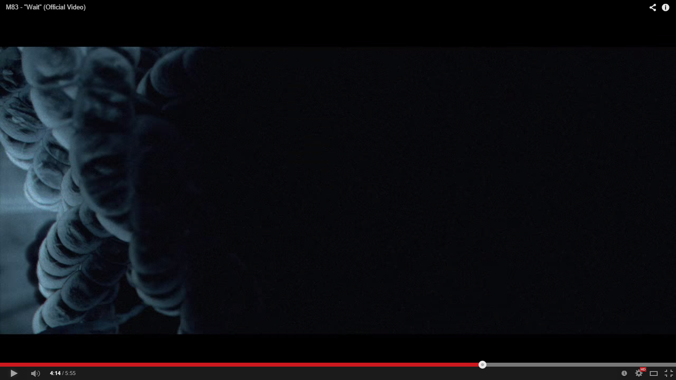 Wait Analysis at emaze Presentation