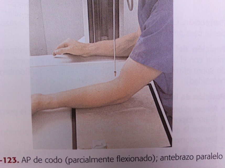 CLASE # 2.pptx at emaze Presentation