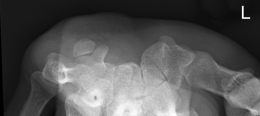 CLASE # 2.pptx on emaze