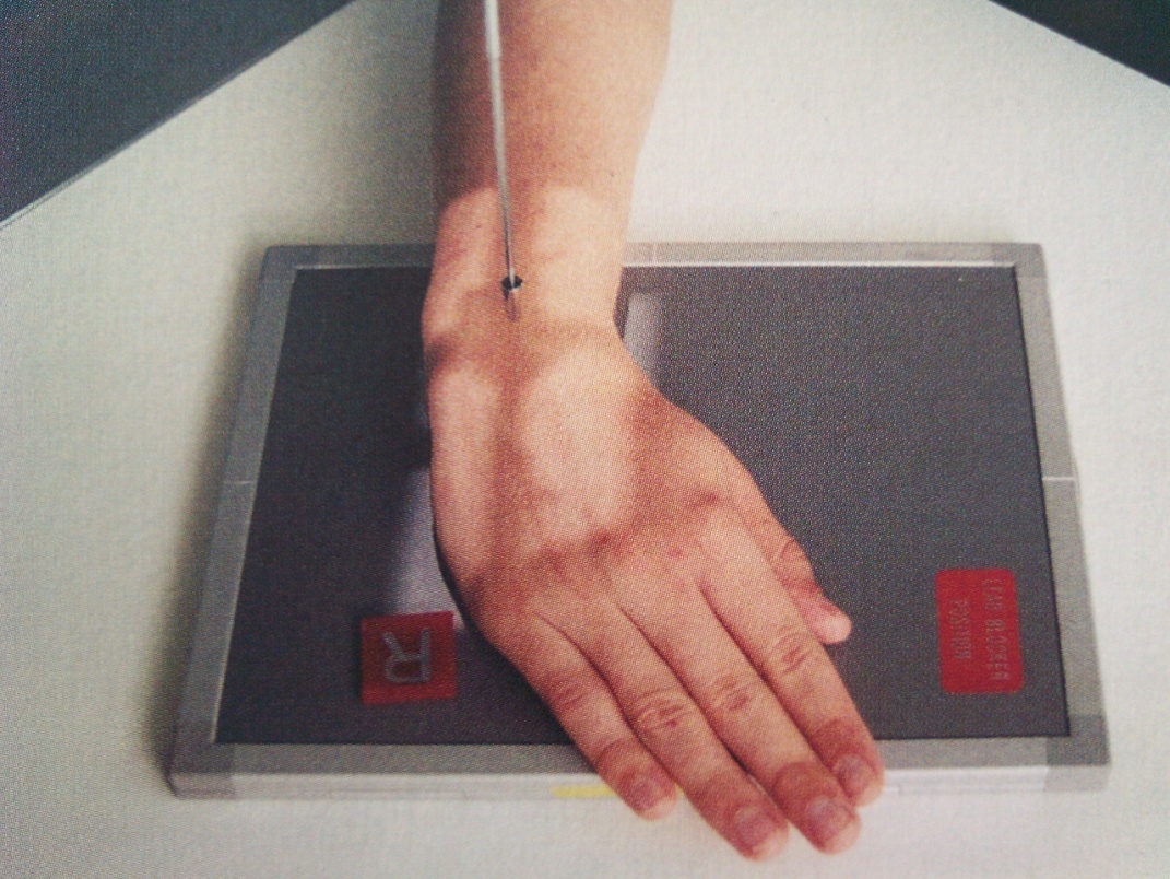 CLASE # 2.pptx on emaze