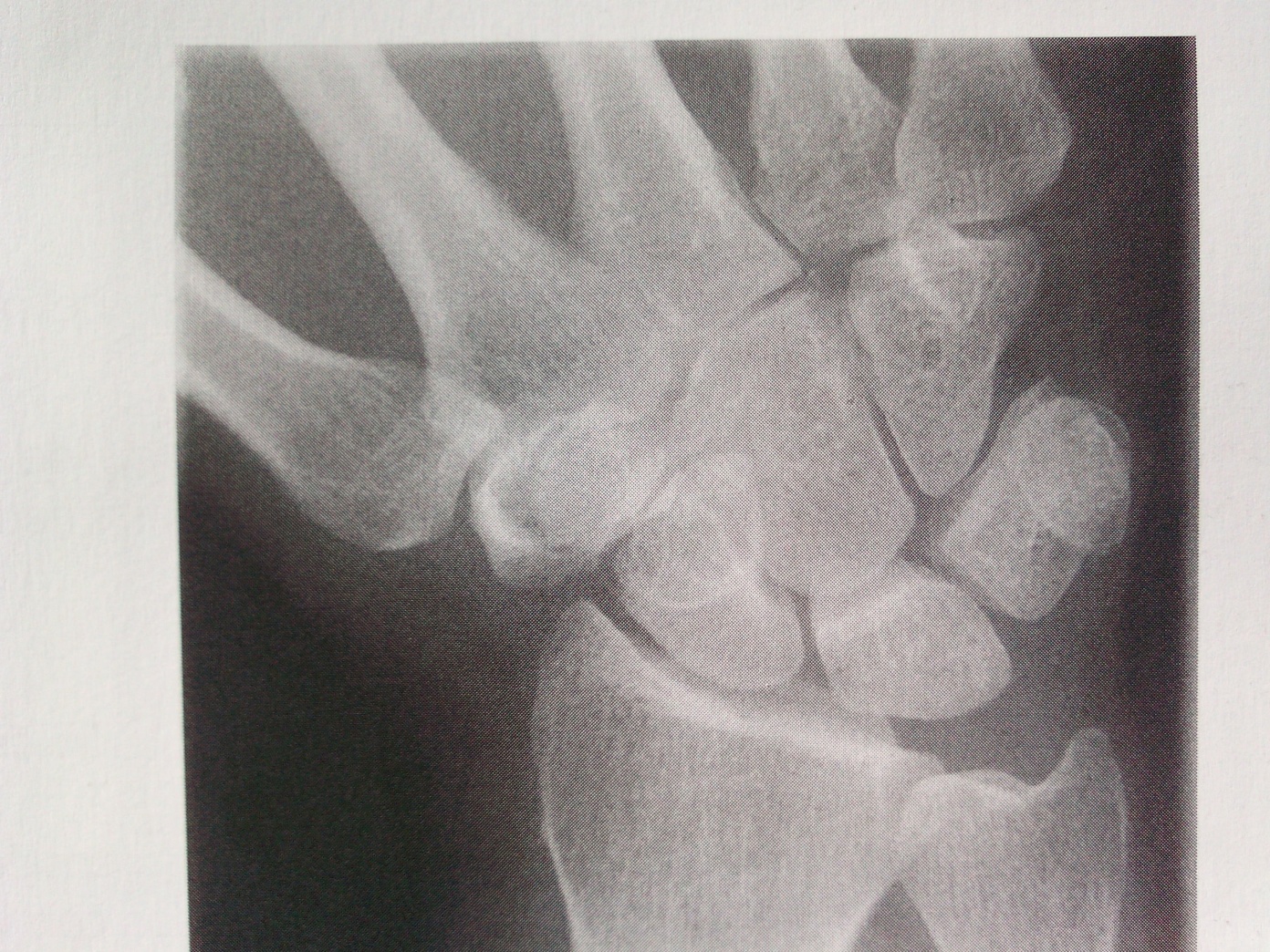 CLASE # 2.pptx on emaze