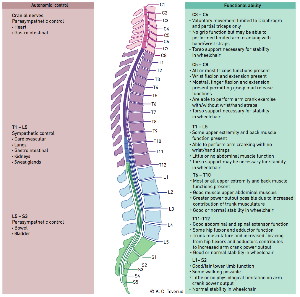Disreflexia Autonómica on emaze