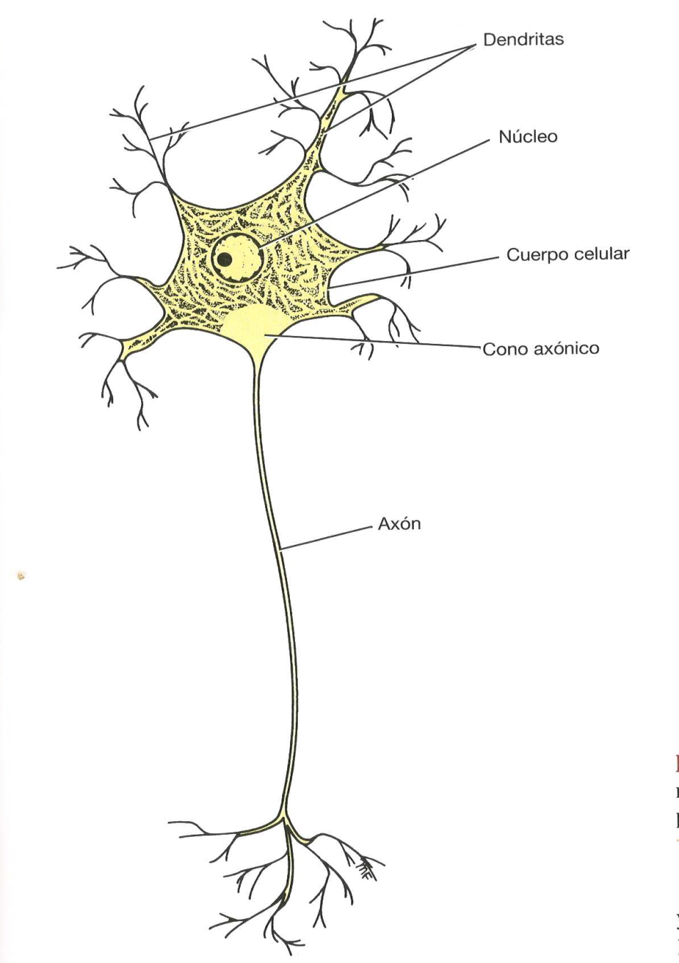 TEMA 6.pptx on emaze